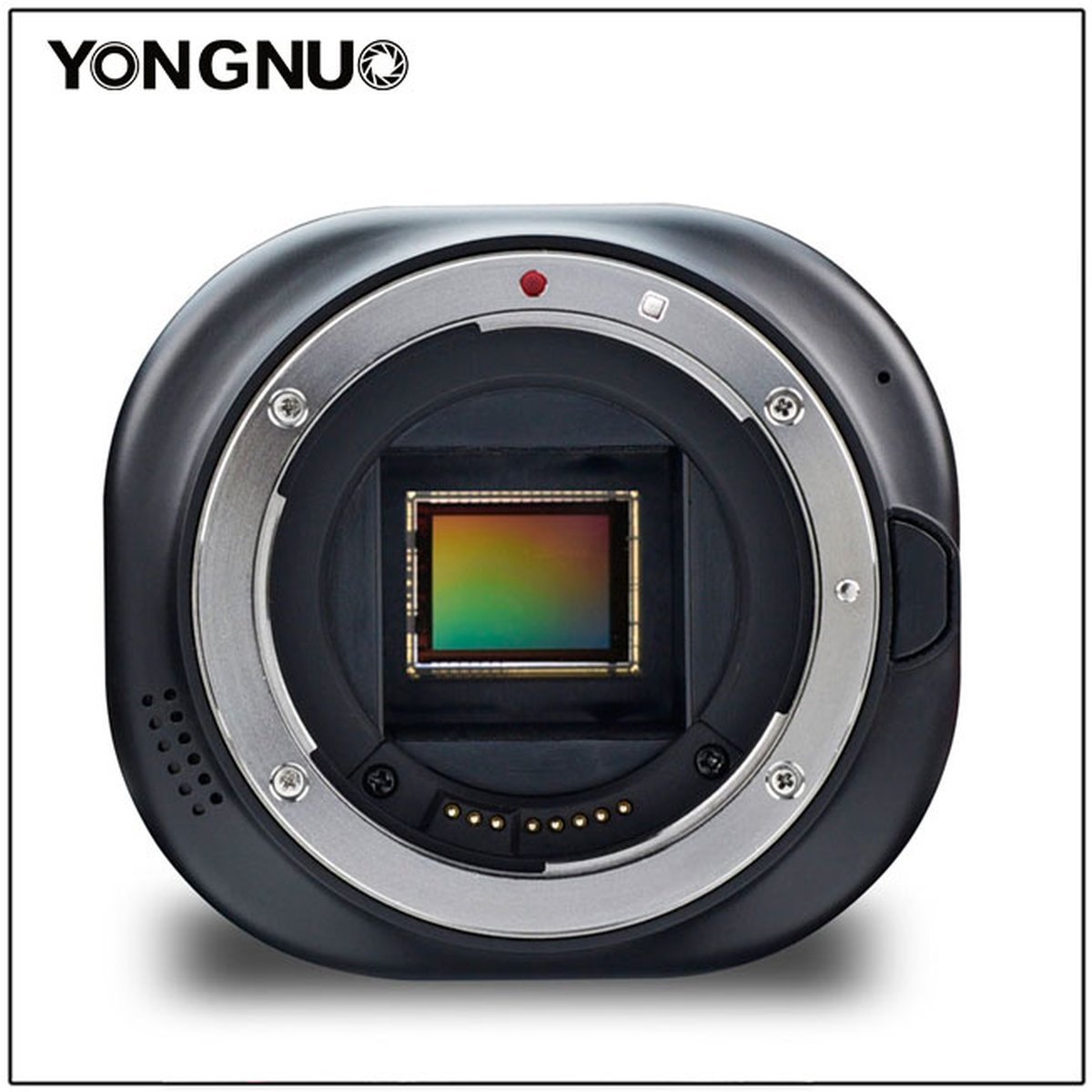 Yongnuo YN43: Kamera Modular Yang Mendukung Lensa Canon Dan Nikon ...